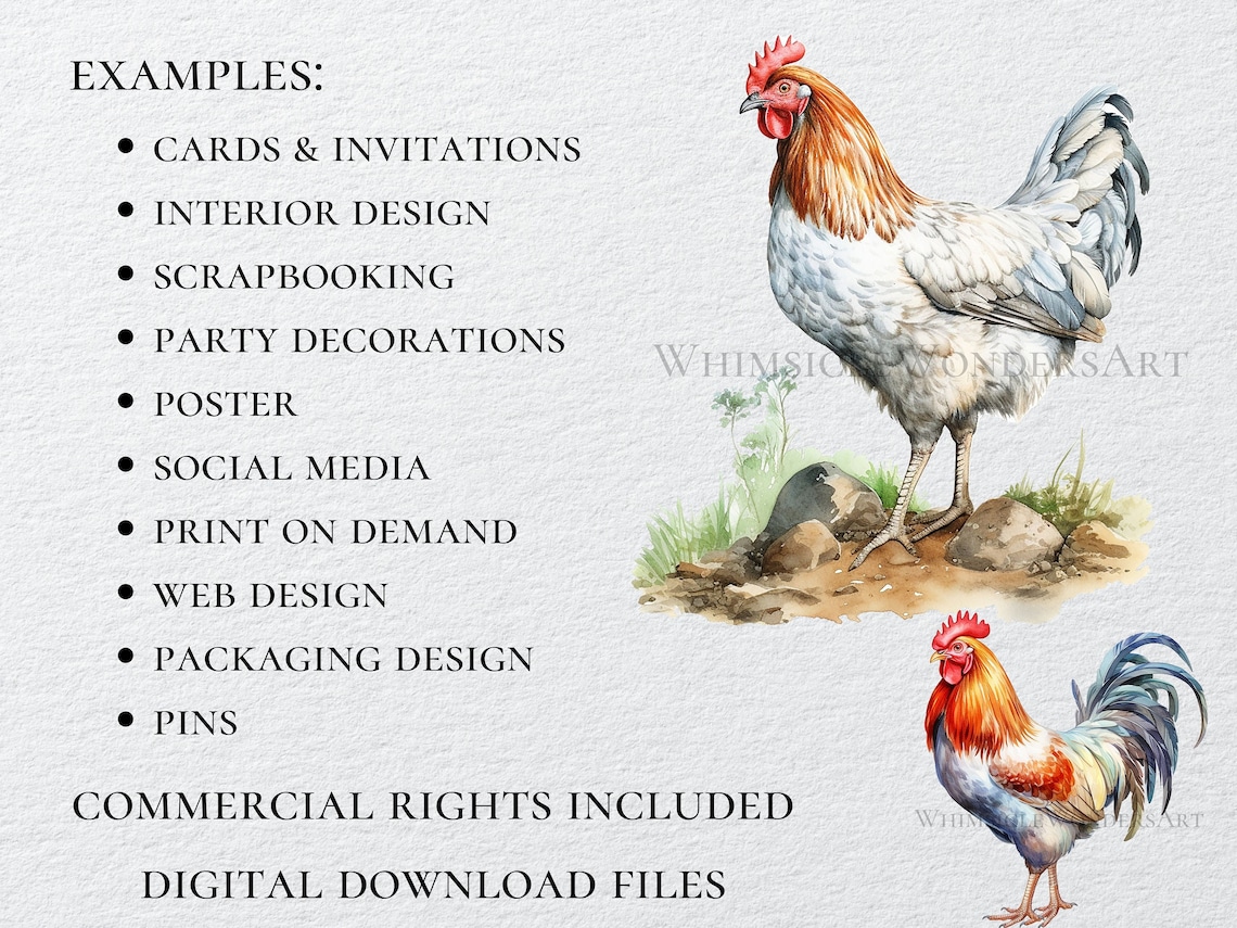Watercolor Chicken Clipart Bundle High Quality PNG Digital Download ...