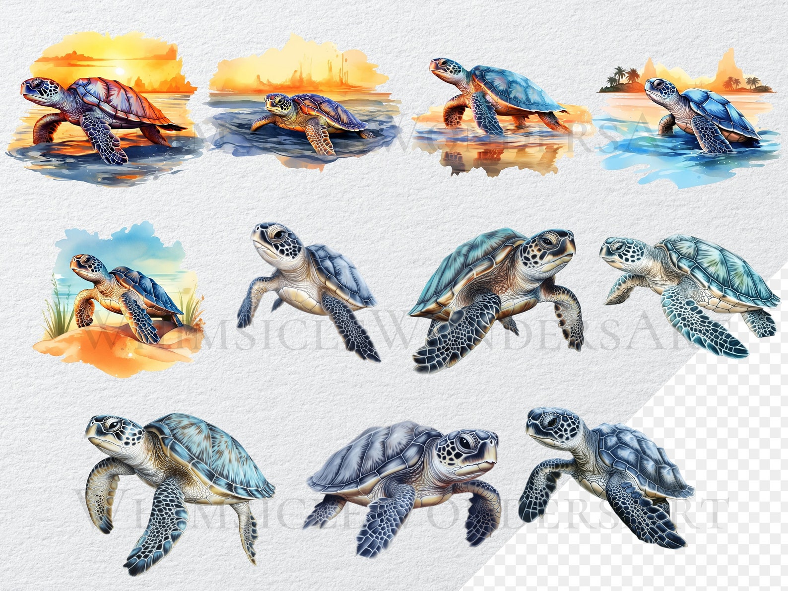 Watercolor Seaturtle Clipart Bundle High Quality PNG Digital - Etsy