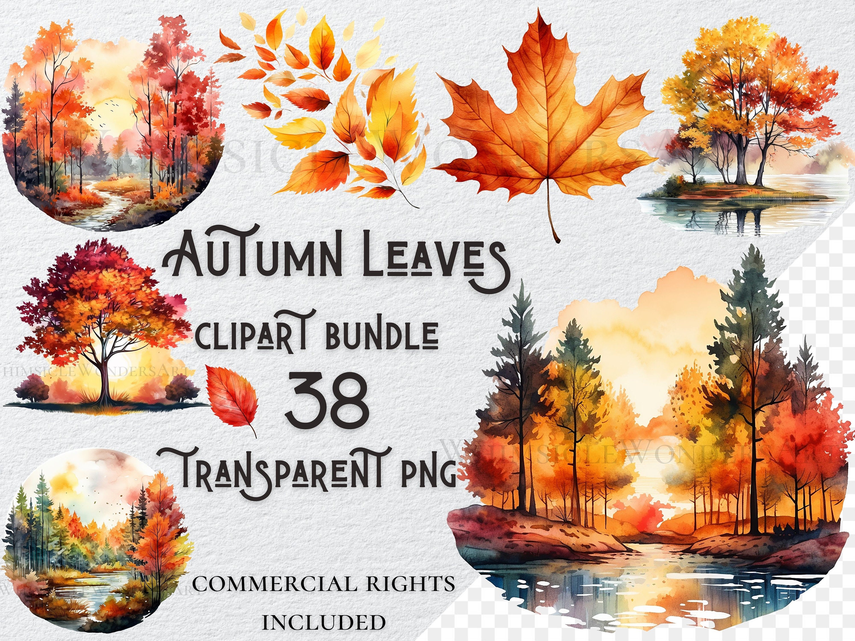 Watercolor Autumn Leaves Clipart Bundle High Quality PNG - Etsy