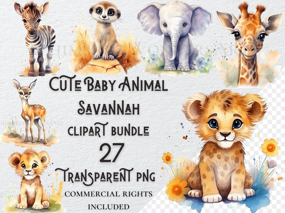 Savannah Clipart Bundle 27 High Quality PNG Digital Download - Etsy