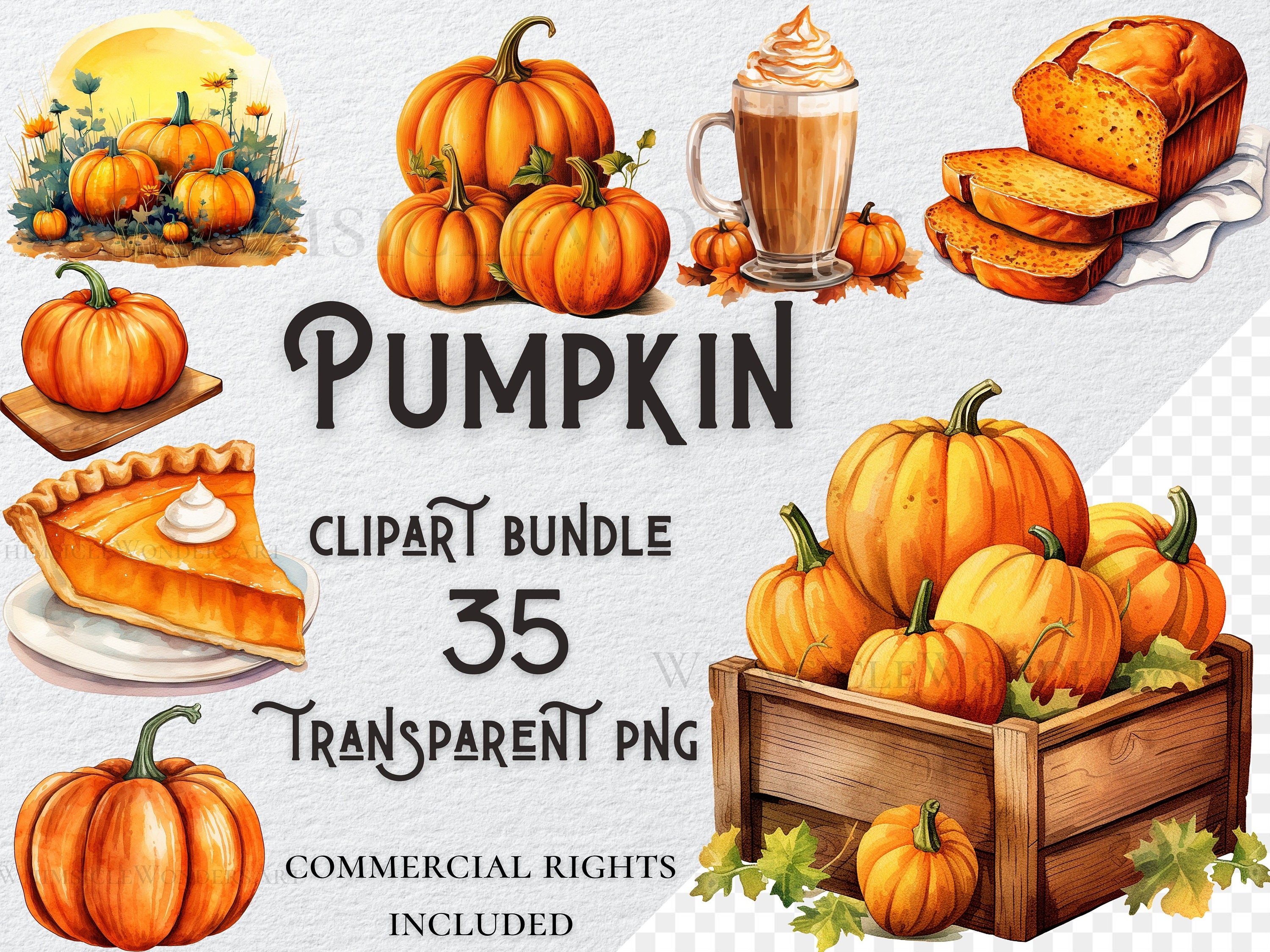 Watercolor Pumpkin Clipart Bundle High Quality PNG Digital Download ...