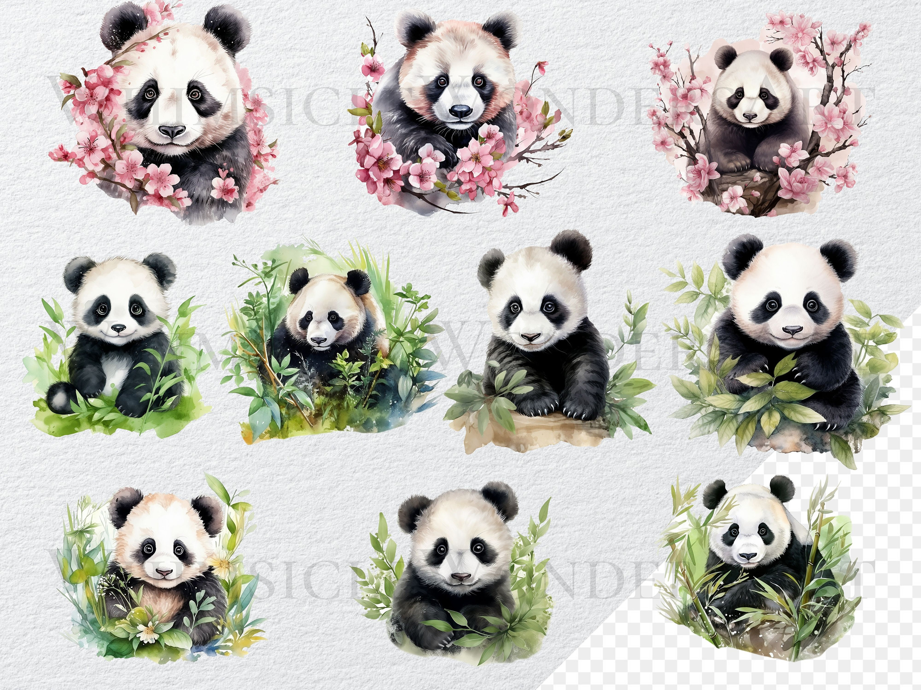 Watercolor Panda Clipart Bundle 20 High Quality PNG Digital Download ...