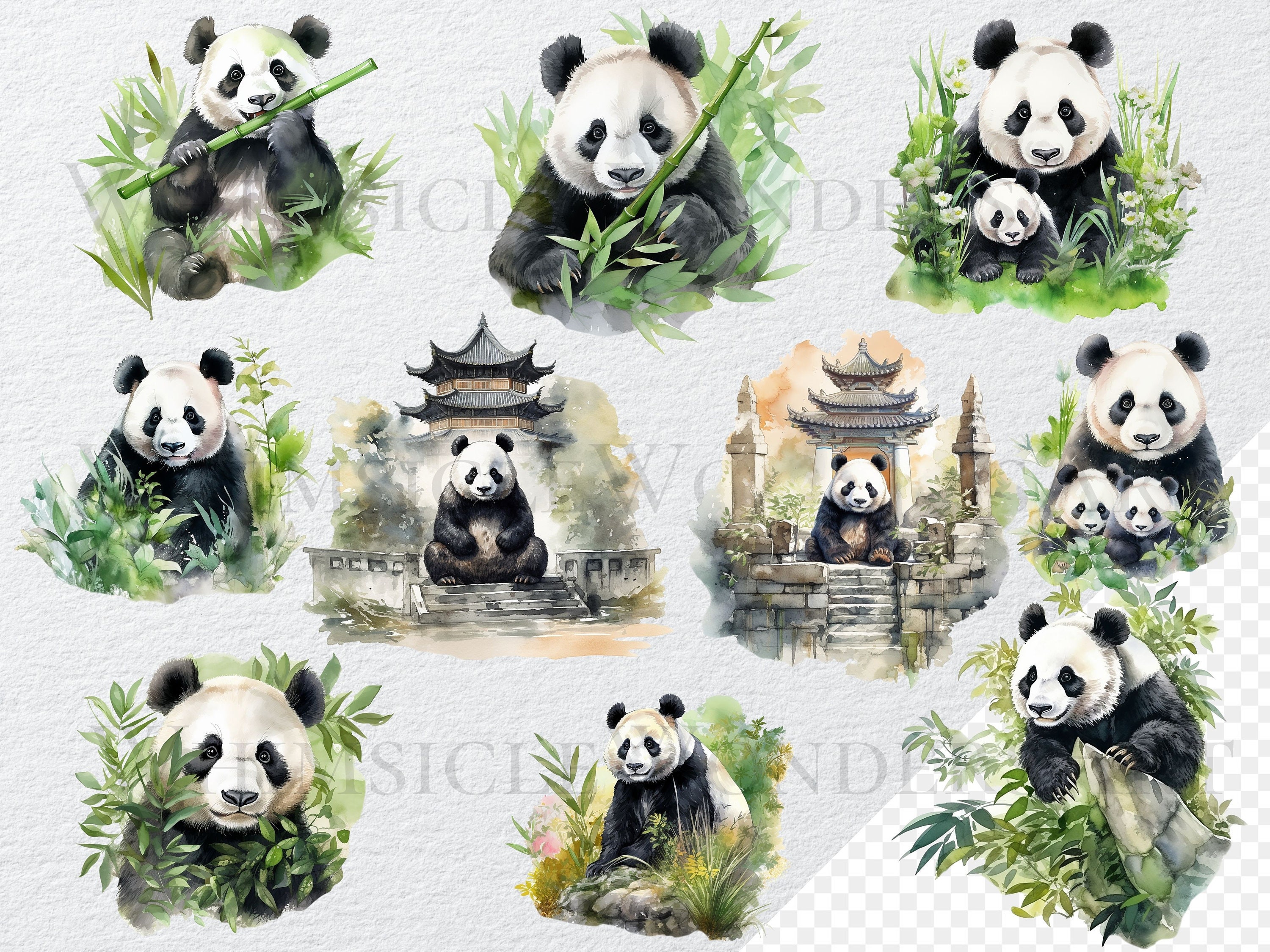 Watercolor Panda Clipart Bundle 20 High Quality PNG Digital Download ...
