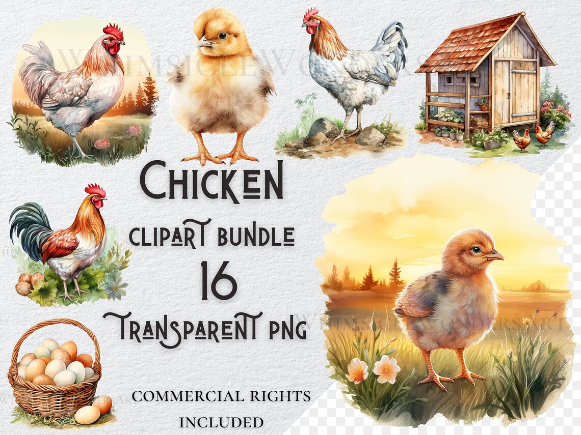 Watercolor Chicken Clipart Bundle High Quality PNG Digital Download ...
