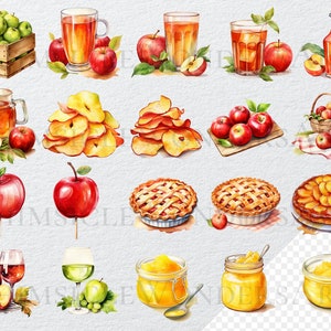 Watercolor Apple Clipart Bundle High Quality PNG Digital Download ...