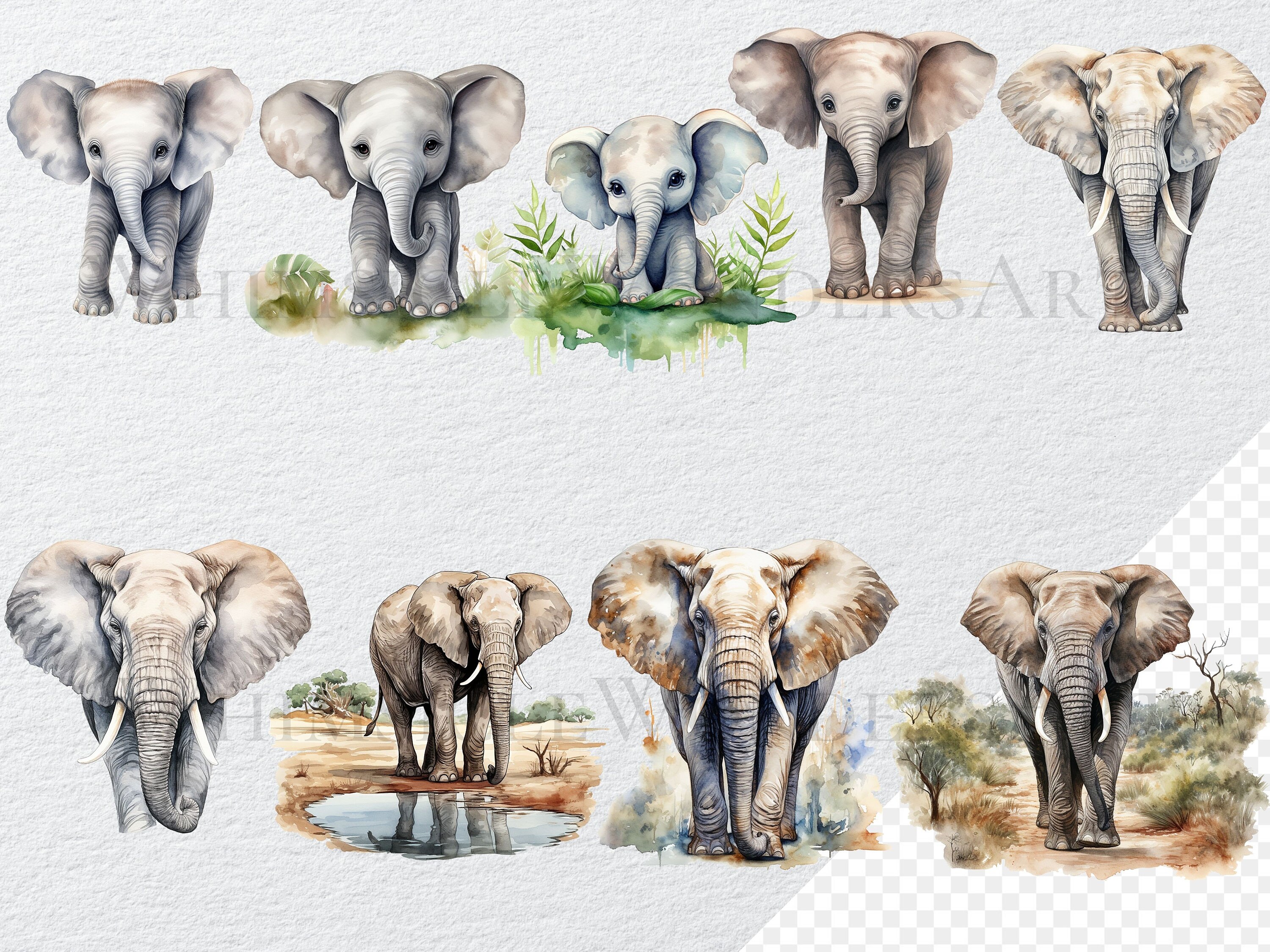 Watercolor Elephant Clipart Bundle, Commercial Use (PNG Digital ...