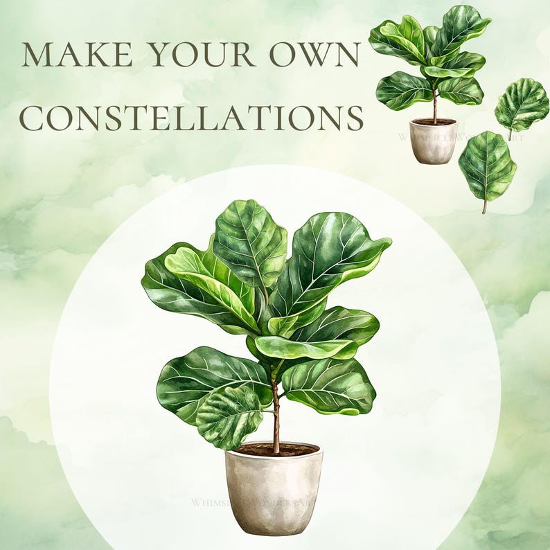 Watercolor Fiddle Leaf Fig Clipart Bundle (30 PNG) - Etsy