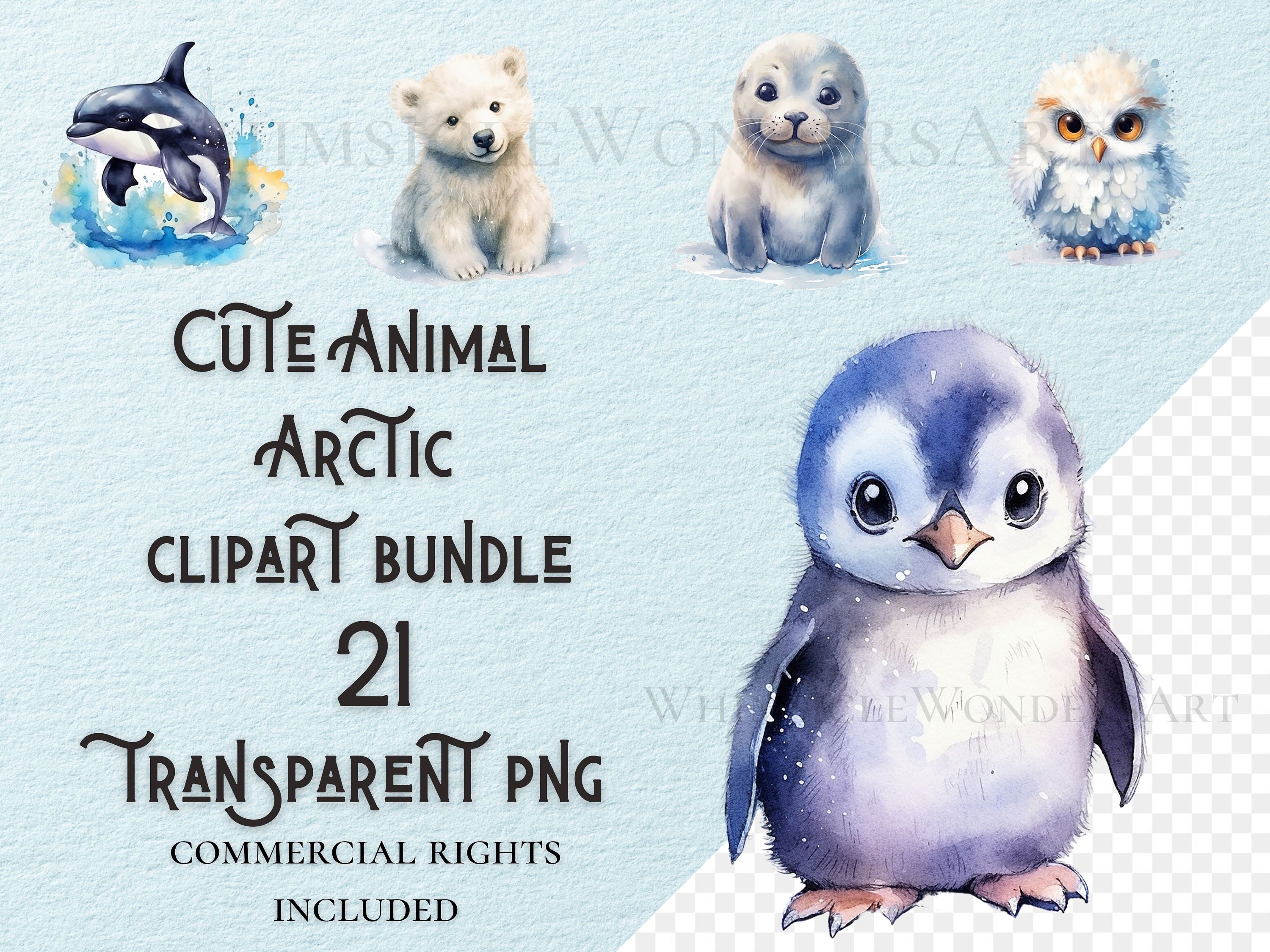 Arctic Clipart Bundle 21 High Quality PNG Digital Download - Etsy