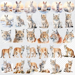 Watercolor Arctic Animals Clipart Bundle, PNG, Commercial Use (digital ...