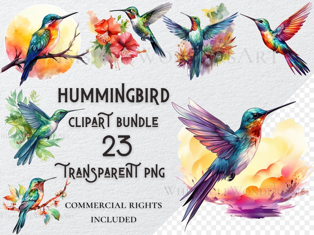 Watercolor Hummingbird Clipart Bundle High Quality PNG Digital Download ...