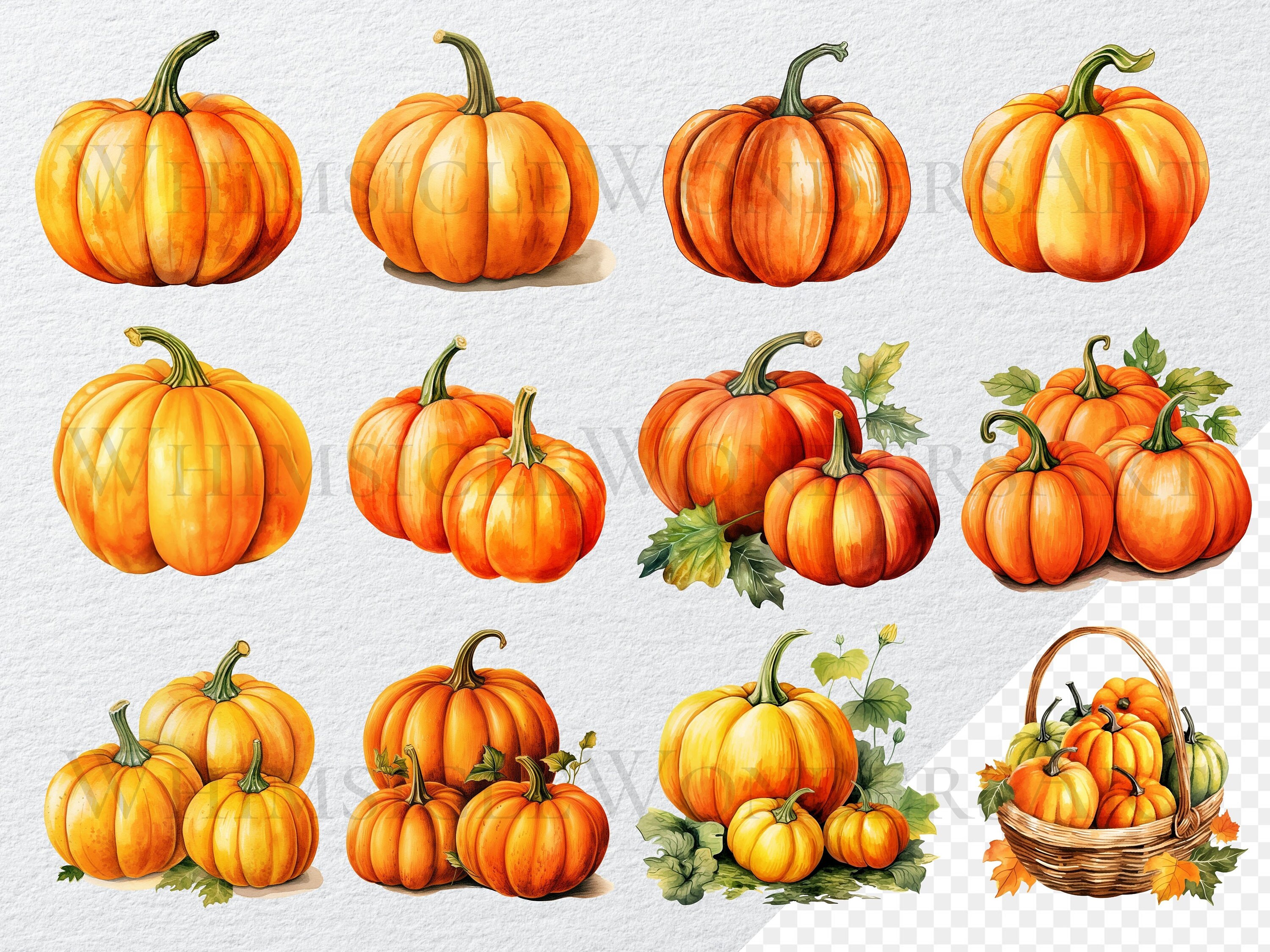 Watercolor Pumpkin Clipart Bundle, Fall Harvest PNG (commercial Use) - Etsy