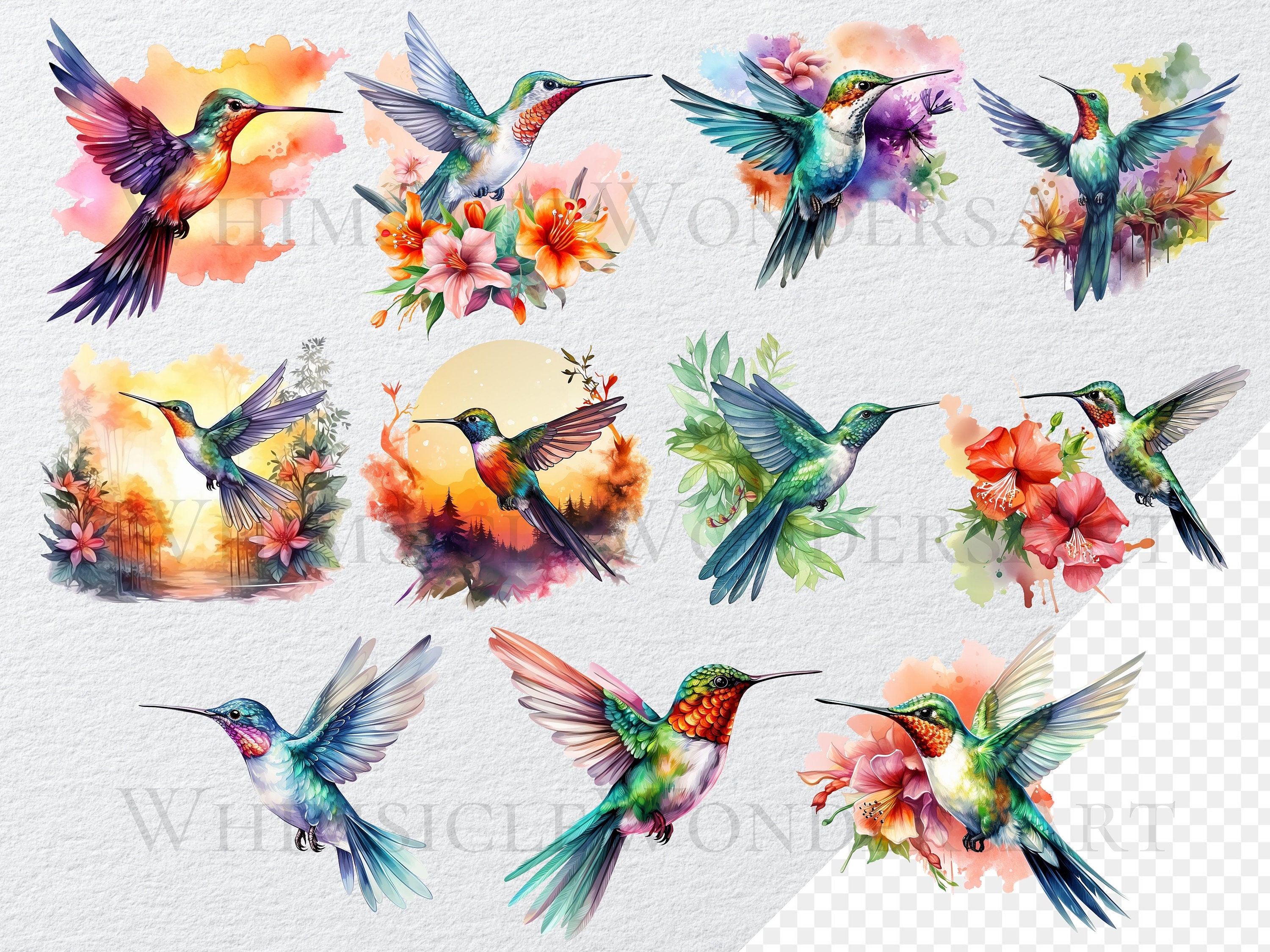 Watercolor Hummingbird Clipart Bundle, PNG, Commercial Use (digital ...