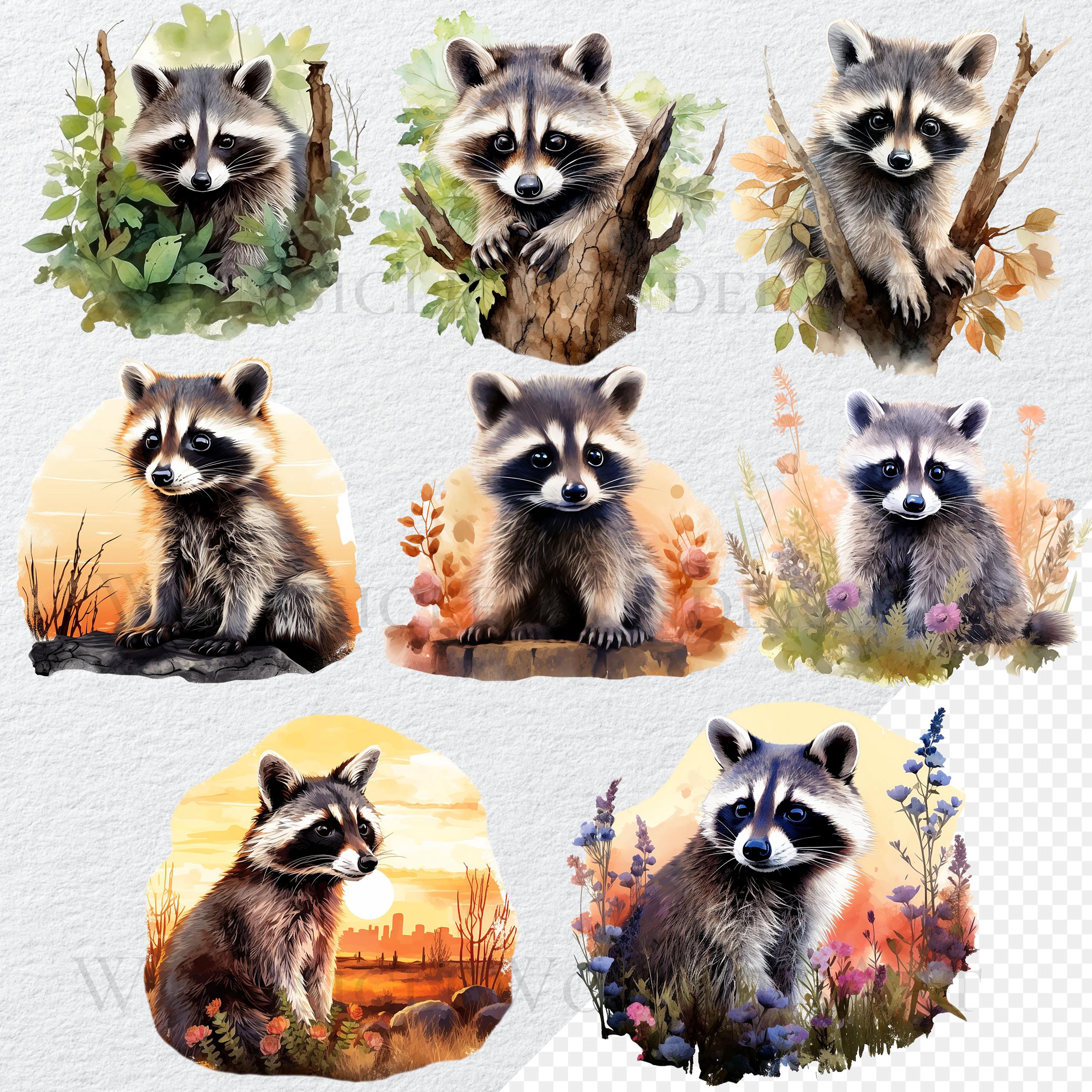 Watercolor Raccoon Clipart Bundle, Commercial Use (PNG Digital Download ...