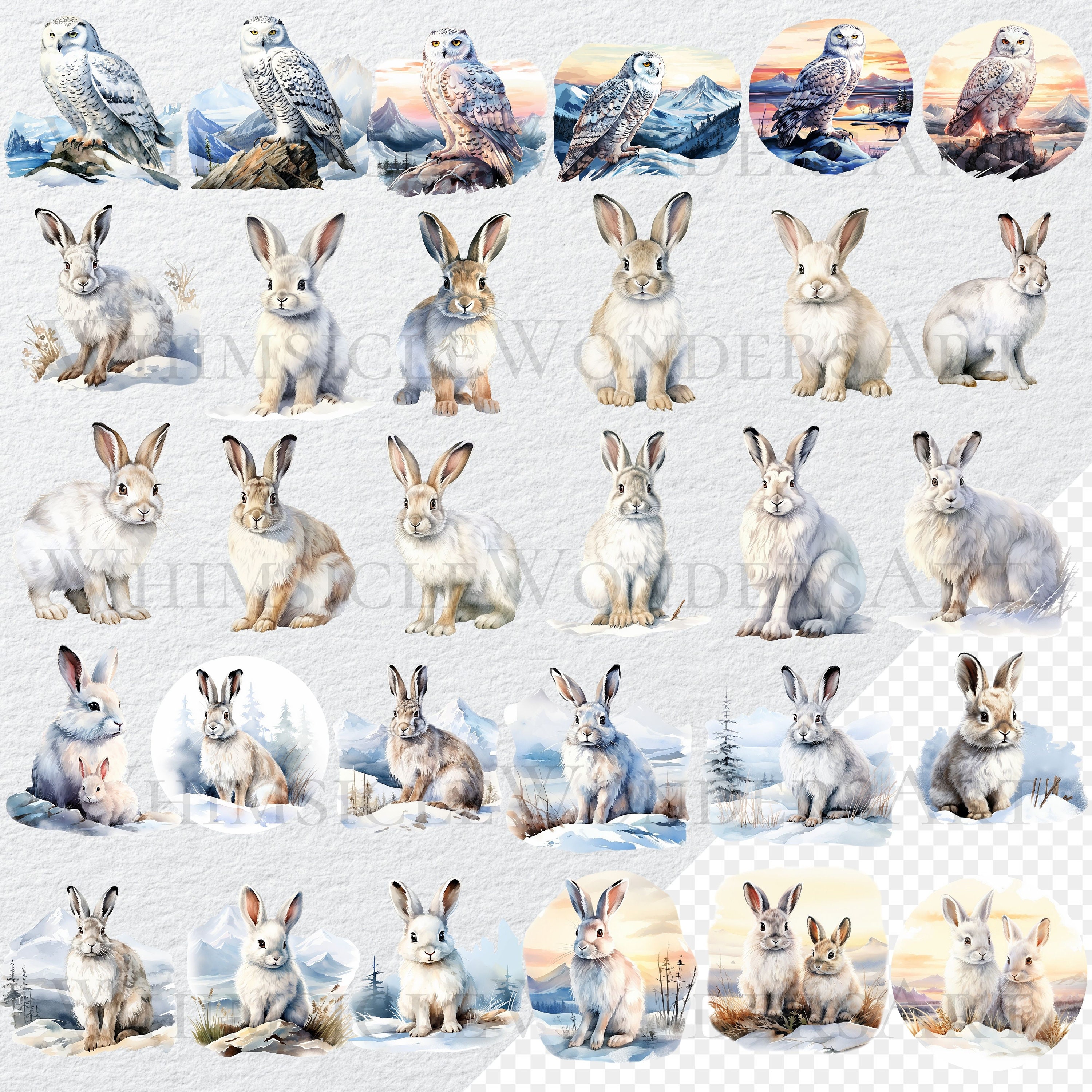 Watercolor Arctic Animals Clipart Bundle High Quality PNG Digital ...