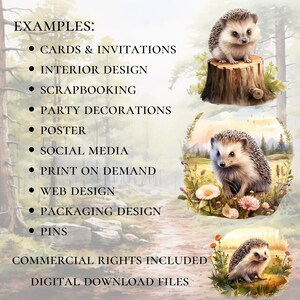 Watercolor Hedgehog Clipart Bundle High Quality PNG Digital Download ...