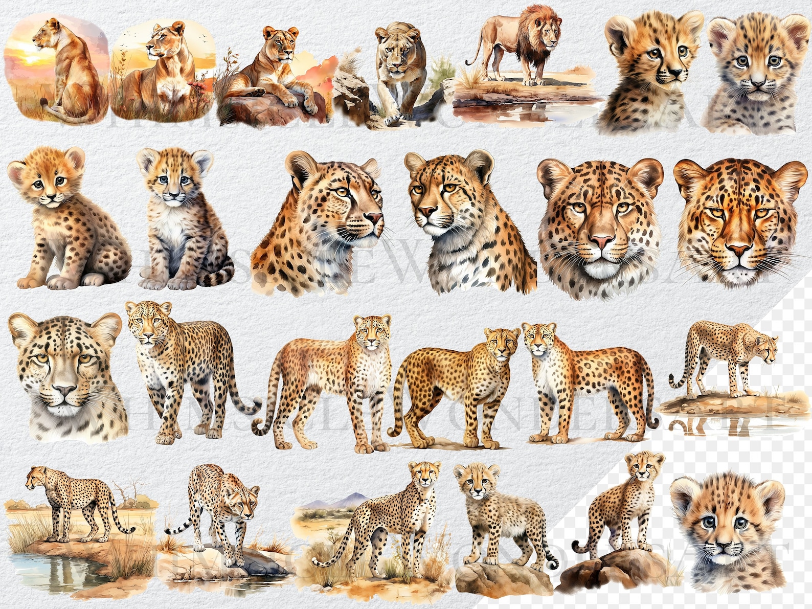 Watercolor Safari Animals Clipart Bundle 200 High Quality PNG Digital ...