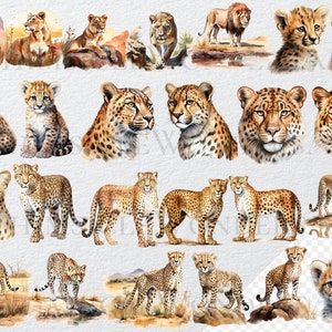 Watercolor Safari Animals Clipart Bundle 200 High Quality PNG Digital ...