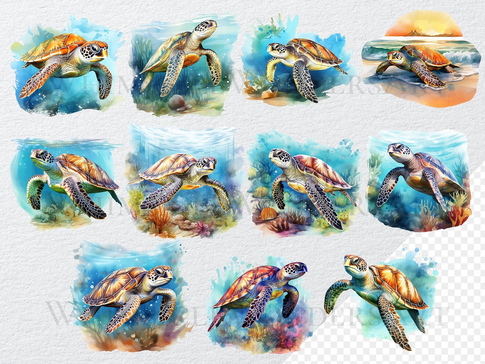 Watercolor Seaturtle Clipart Bundle High Quality PNG Digital - Etsy