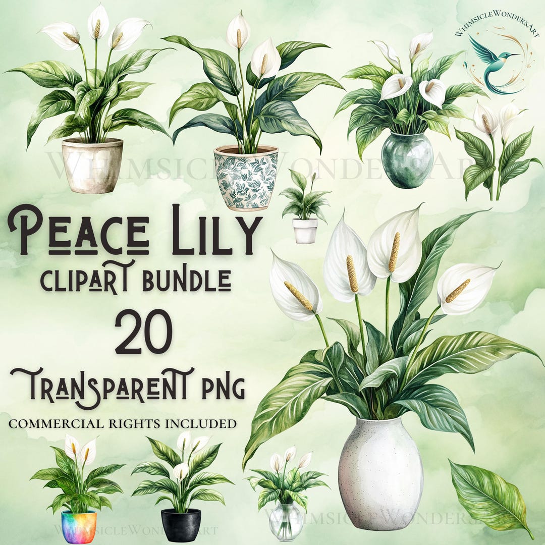 Watercolor Peace Lily Clipart Bundle High Quality PNG Download ...