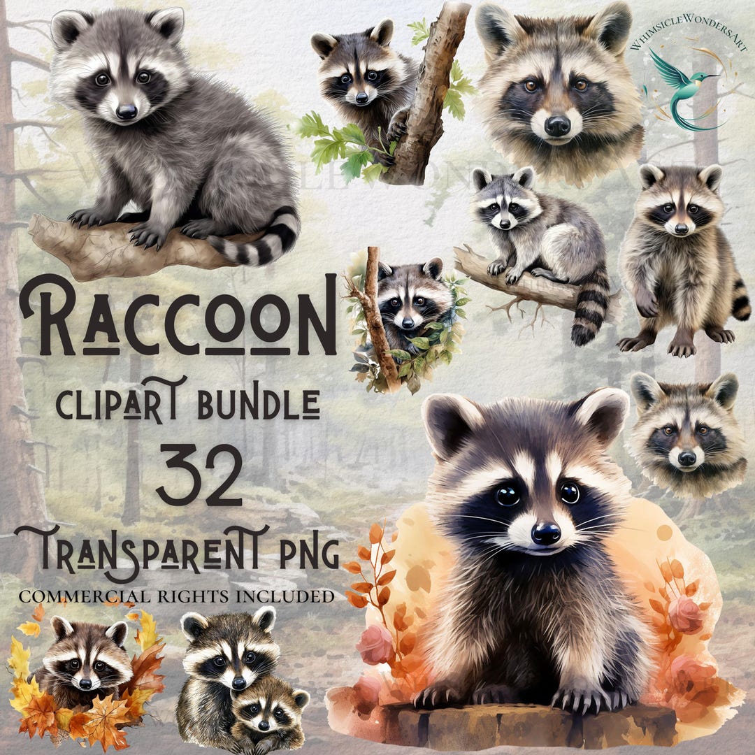 Watercolor Raccoon Clipart Bundle, Commercial Use (PNG Digital Download ...