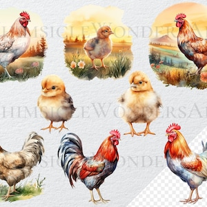 Watercolor Chicken Clipart Bundle, Farm Animal PNG (digital Download ...