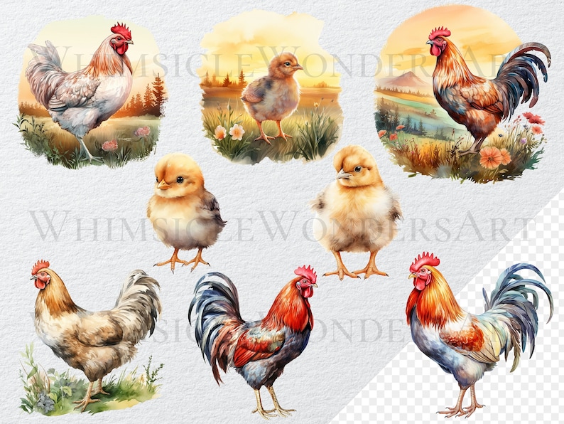 Watercolor Chicken Clipart Bundle High Quality PNG Digital Download ...