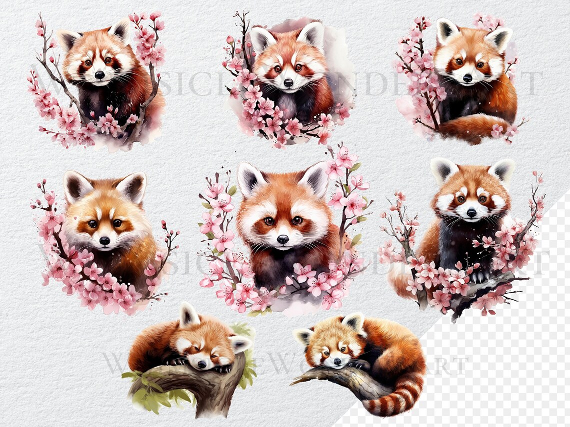 Cute Red Panda Clipart Bundle 26 High Quality PNG Digital - Etsy