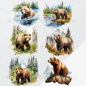 Watercolor Bear Clipart Bundle High Quality PNG Digital Download ...