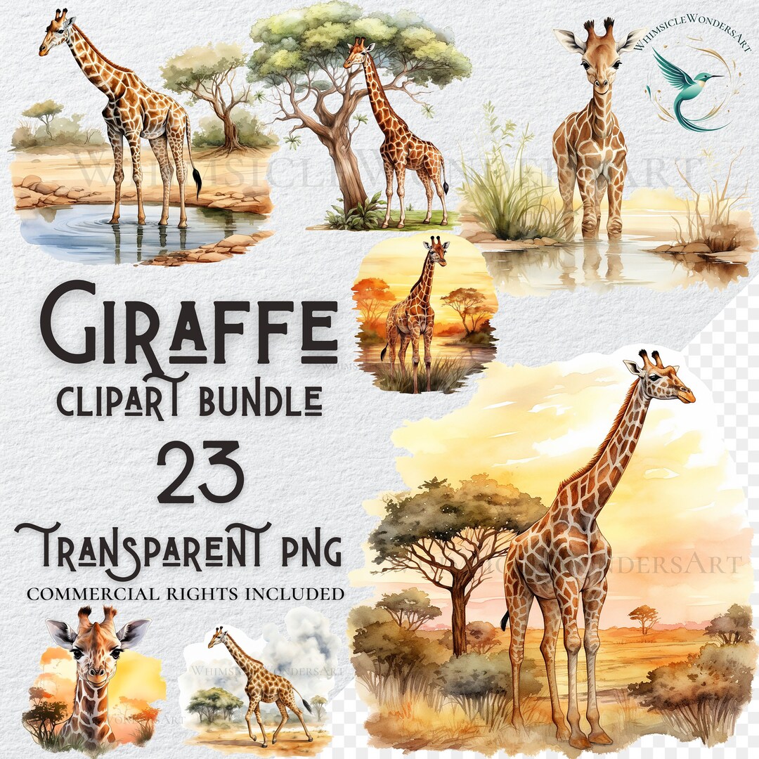 Watercolor Giraffe Clipart Bundle High Quality PNG Digital Download ...