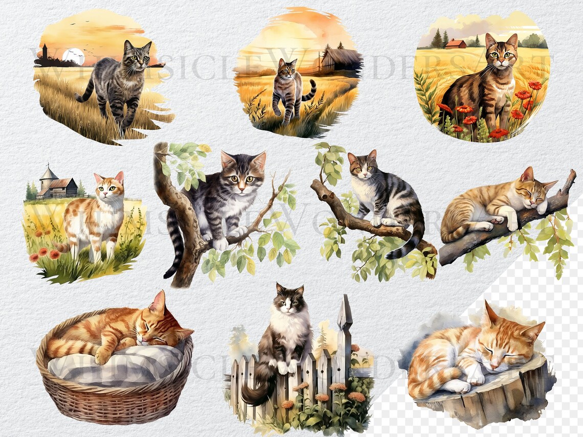 Watercolor Farm Cat Clipart Bundle 20 High Quality PNG Digital - Etsy