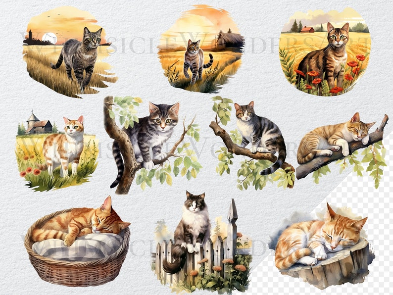 Watercolor Farm Cat Clipart Bundle 20 High Quality PNG Digital - Etsy