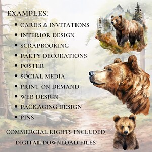 Watercolor Bear Clipart Bundle High Quality PNG Digital Download ...