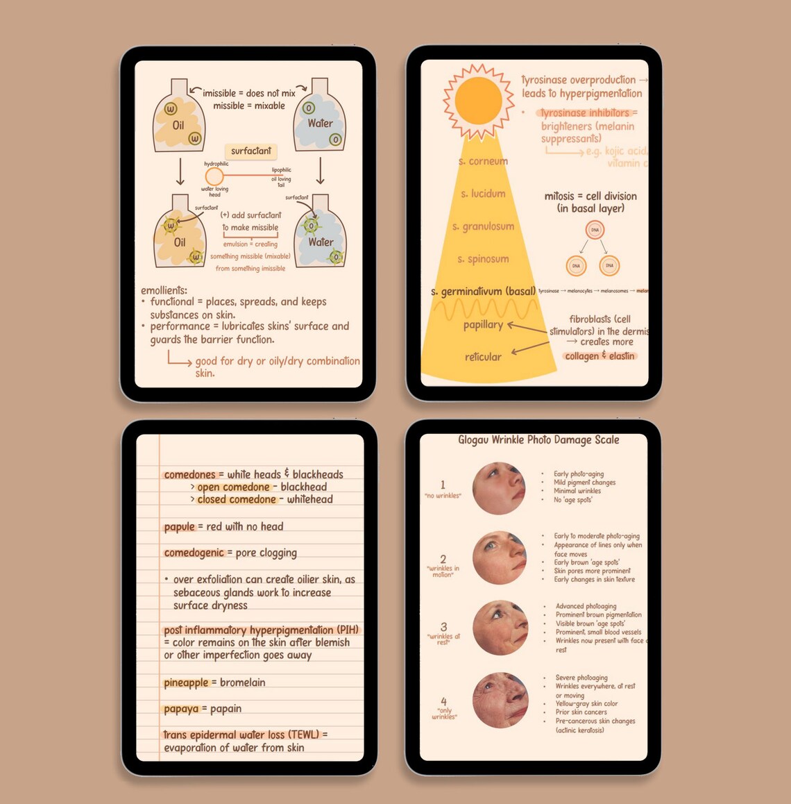 Skin Specialist, Esthetician, Aesthetician Notes or Study Guide - Etsy