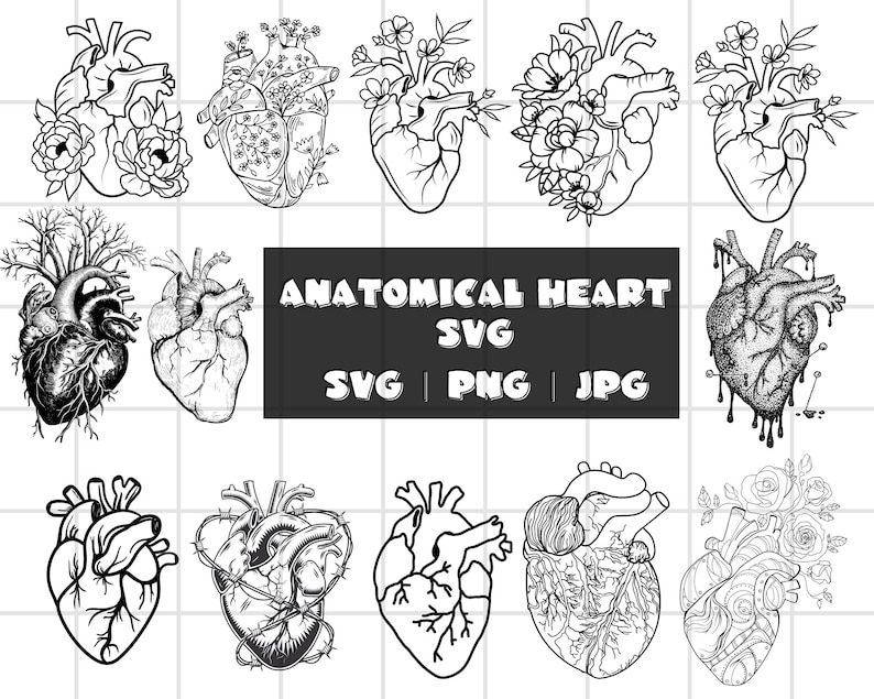 Anatomical Heart Svg Bundle, Flower Heart Svg, Human Heart Svg, Anatomy ...