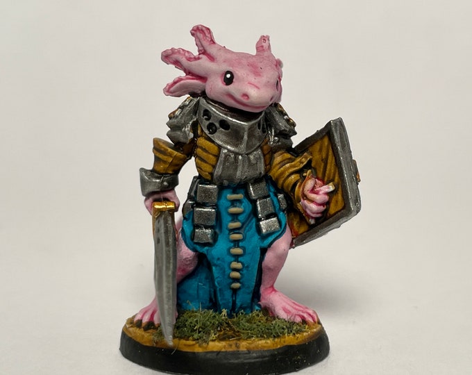 Axolotl Lizardfolk Fighter Warrior Rogue Hand-painted Miniature / D&D ...