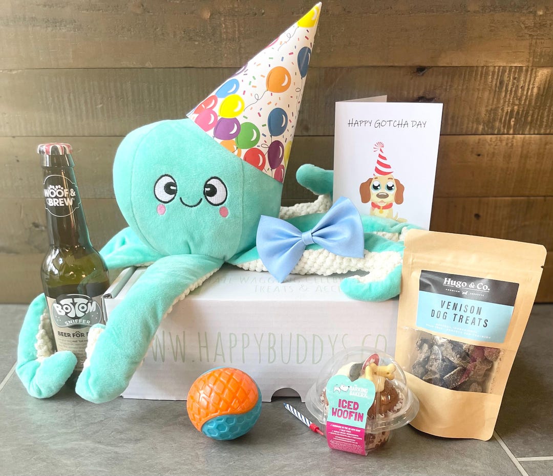 Personalised Luxury Dog Gotcha Day Gift Box | Treats & Toys - Etsy