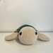 Handmade Crochet Turtle Plushie - Etsy