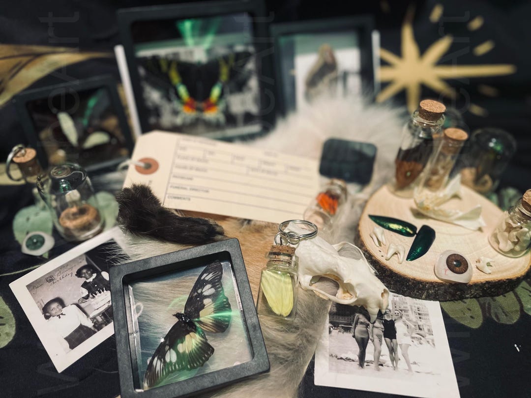 Weird is a Lifestyle Mystery Box - Etsy