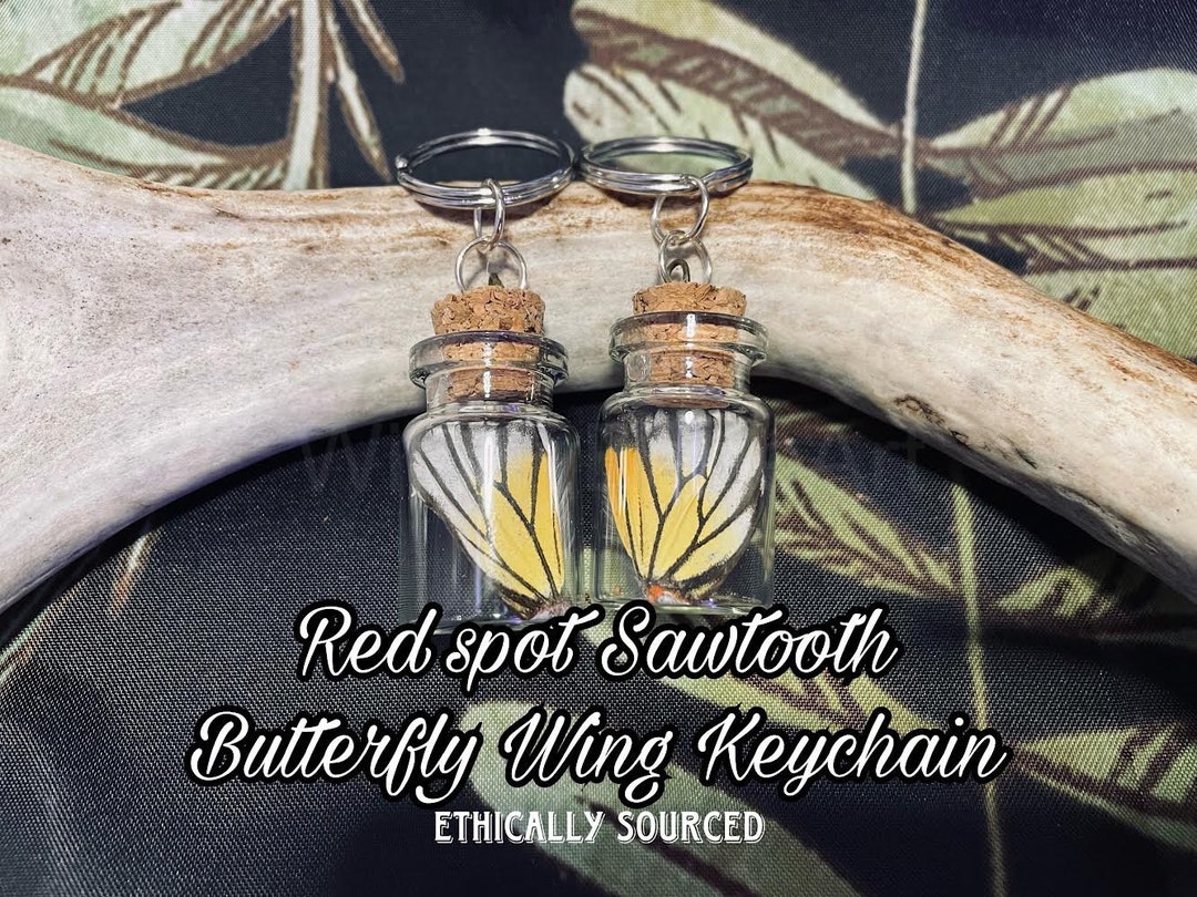 Red Spot Sawtooth Butterfly Wing Keychain - Etsy