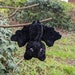Beatrix Bat Mini Loom Knitting Pattern - Etsy