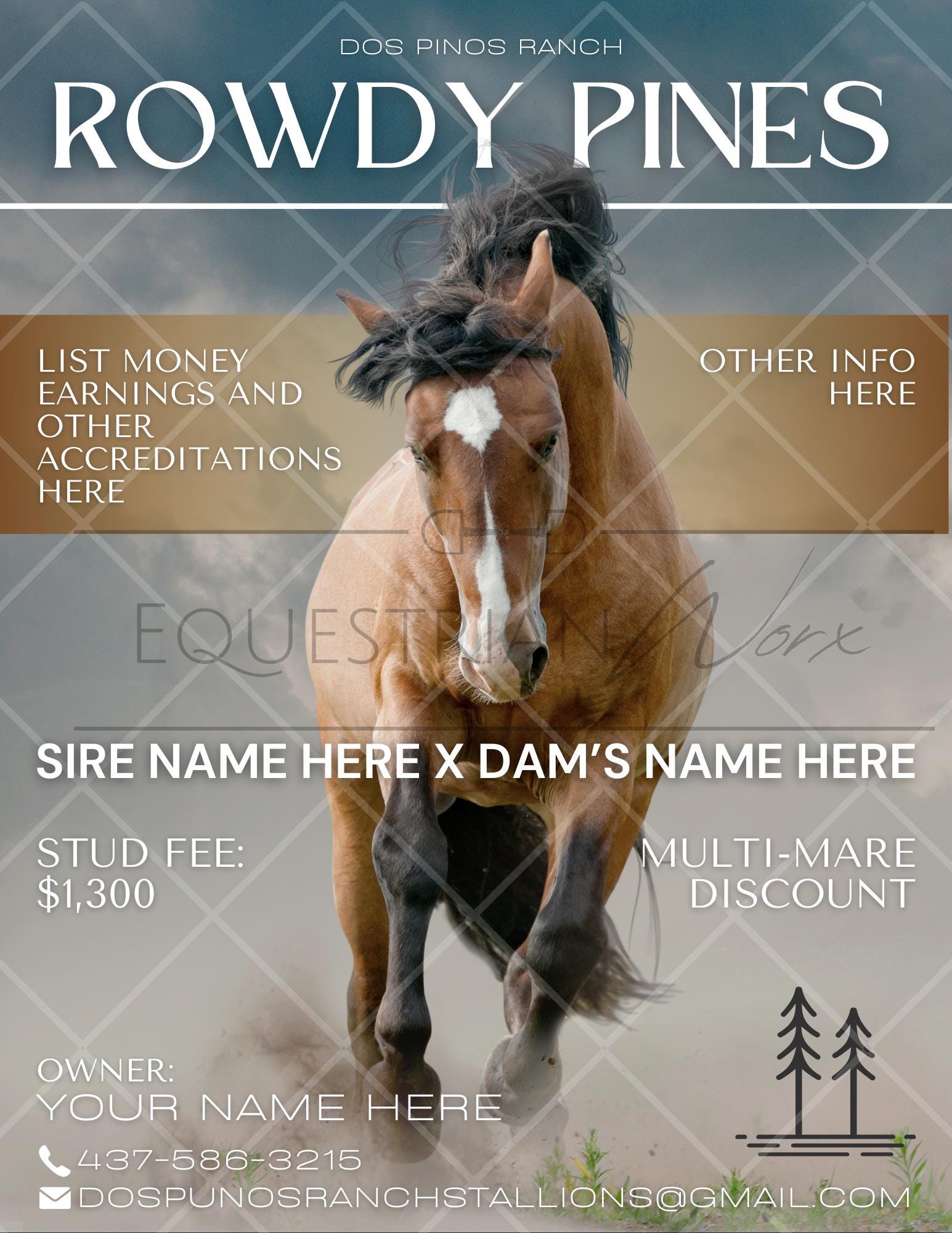 Custom Equestrian Flyer | Stallions | Equine Sales | Quarter Horse ...