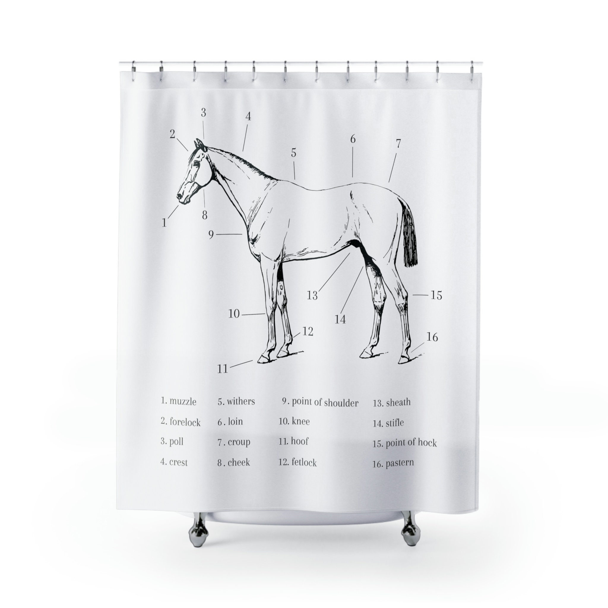 Parts of the Horse Shower Curtain - Etsy