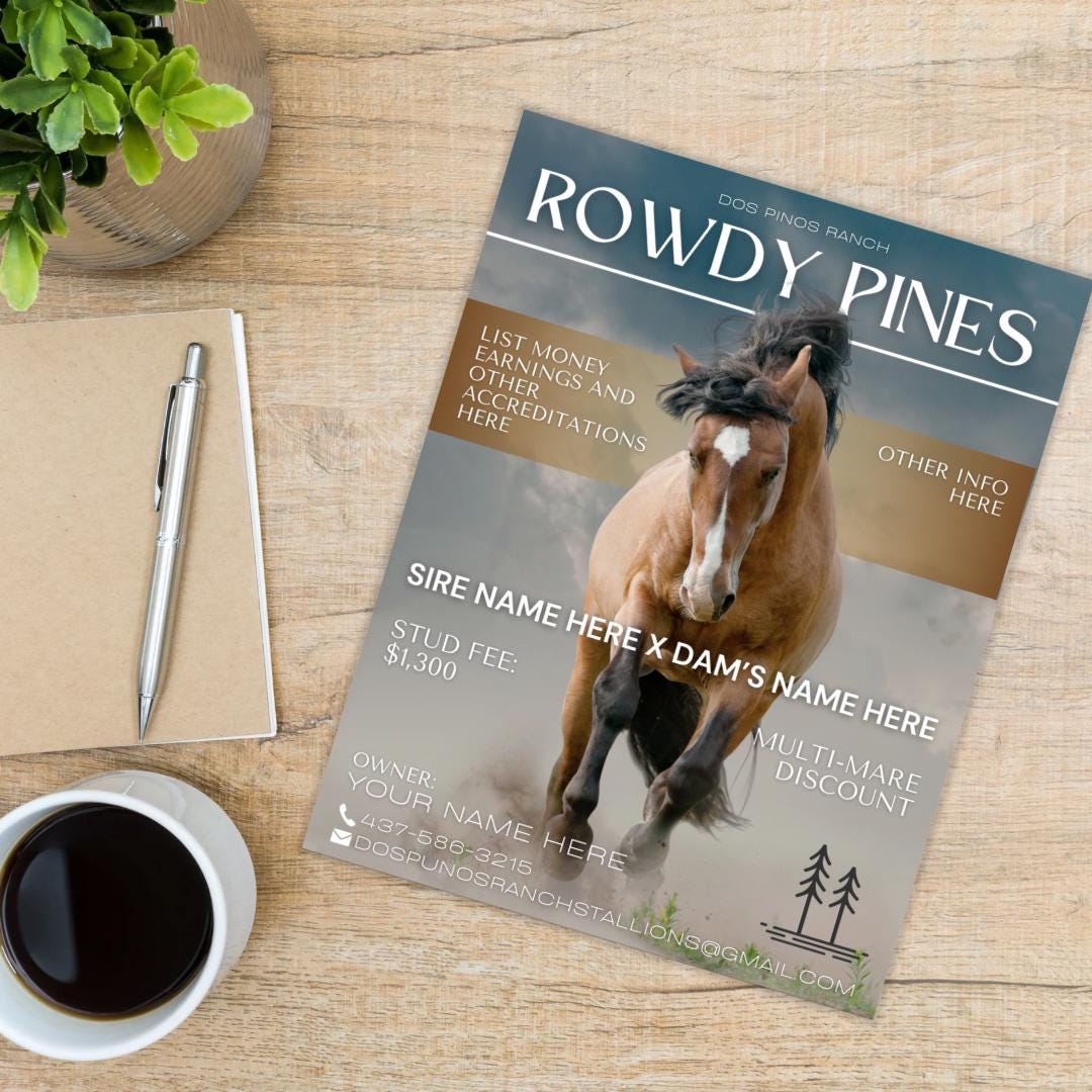 Custom Equestrian Flyer | Stallions | Equine Sales | Quarter Horse ...