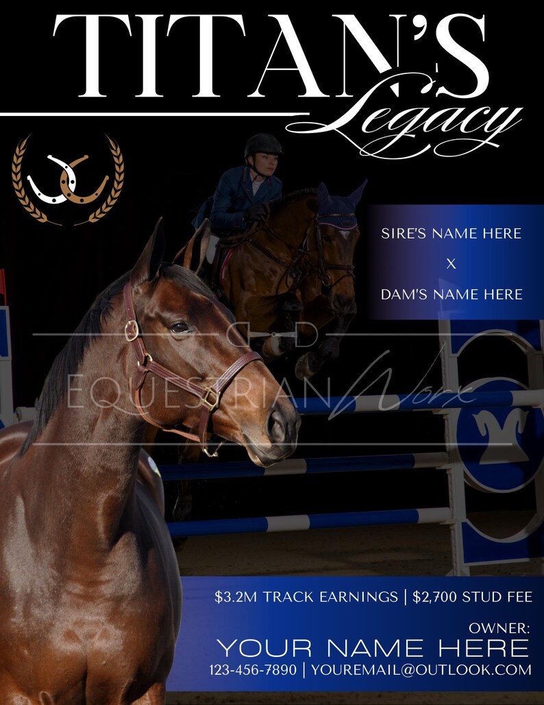 Custom Equestrian Flyer | Stallions | Equine Sales | Quarter Horse ...