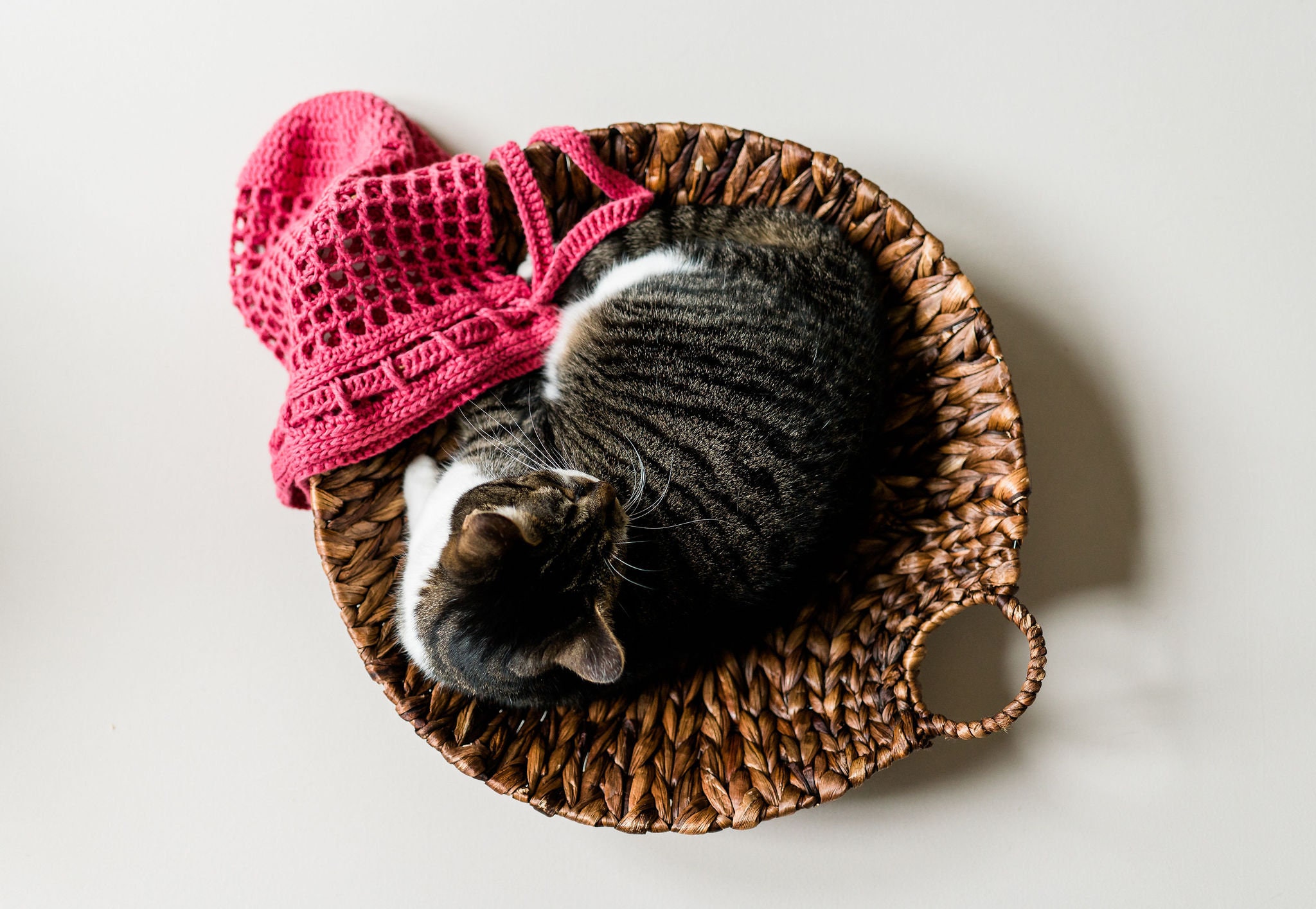 Small Market Backpack Crochet Pattern - Etsy