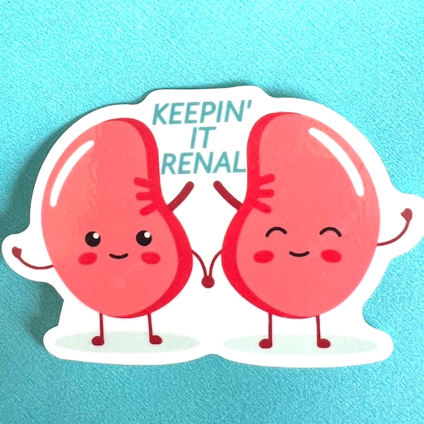 Funny Kidney Stickers - Etsy