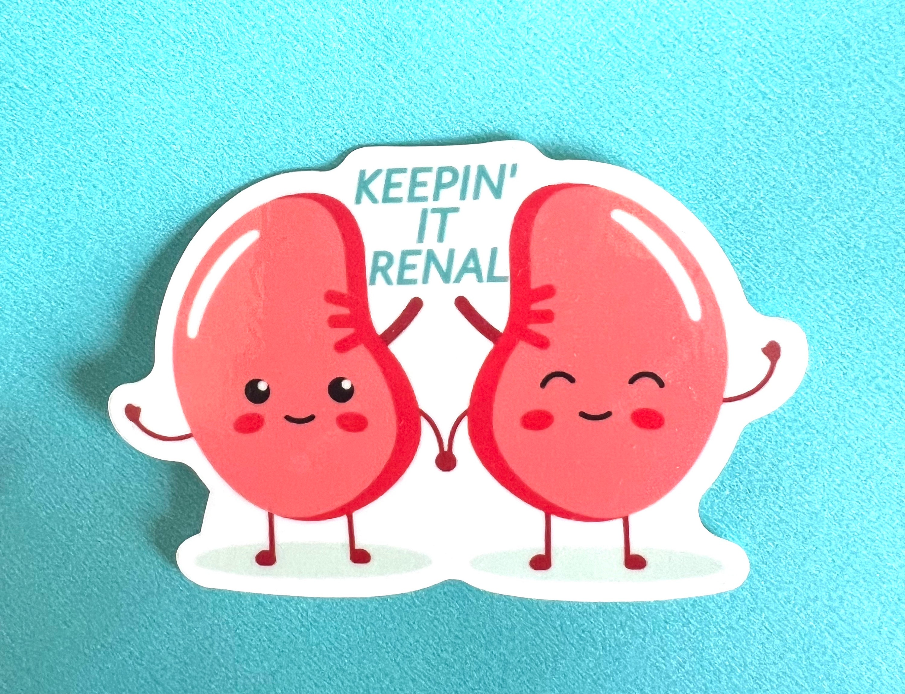 Kidney Stickers; Cute Nurse Stickers; Transplant Stickers; Dialysis ...