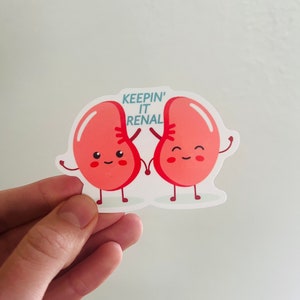 Cute Kidney Vinyl Sticker: Funny Nurse Gift, Water Bottle Decal (3 Inch ...