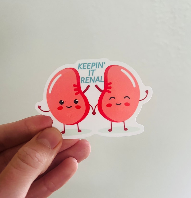 Kidney Stickers; Cute Nurse Stickers; Transplant Stickers; Dialysis ...