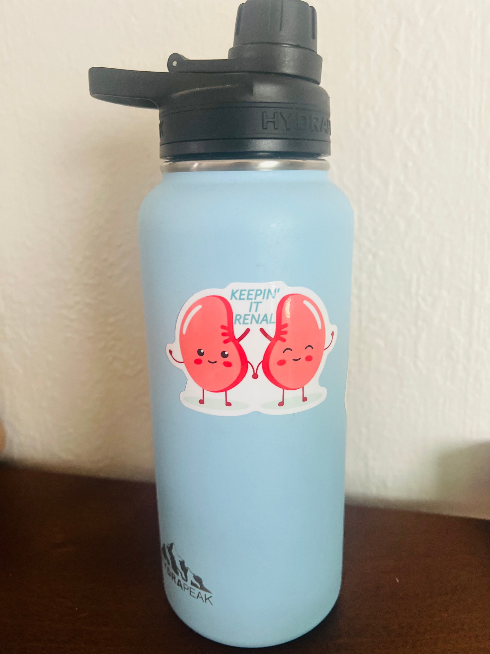 Kidney Stickers; Cute Nurse Stickers; Transplant Stickers; Dialysis ...